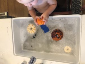 Pumpkin Sensory Activities » Autism Adventures