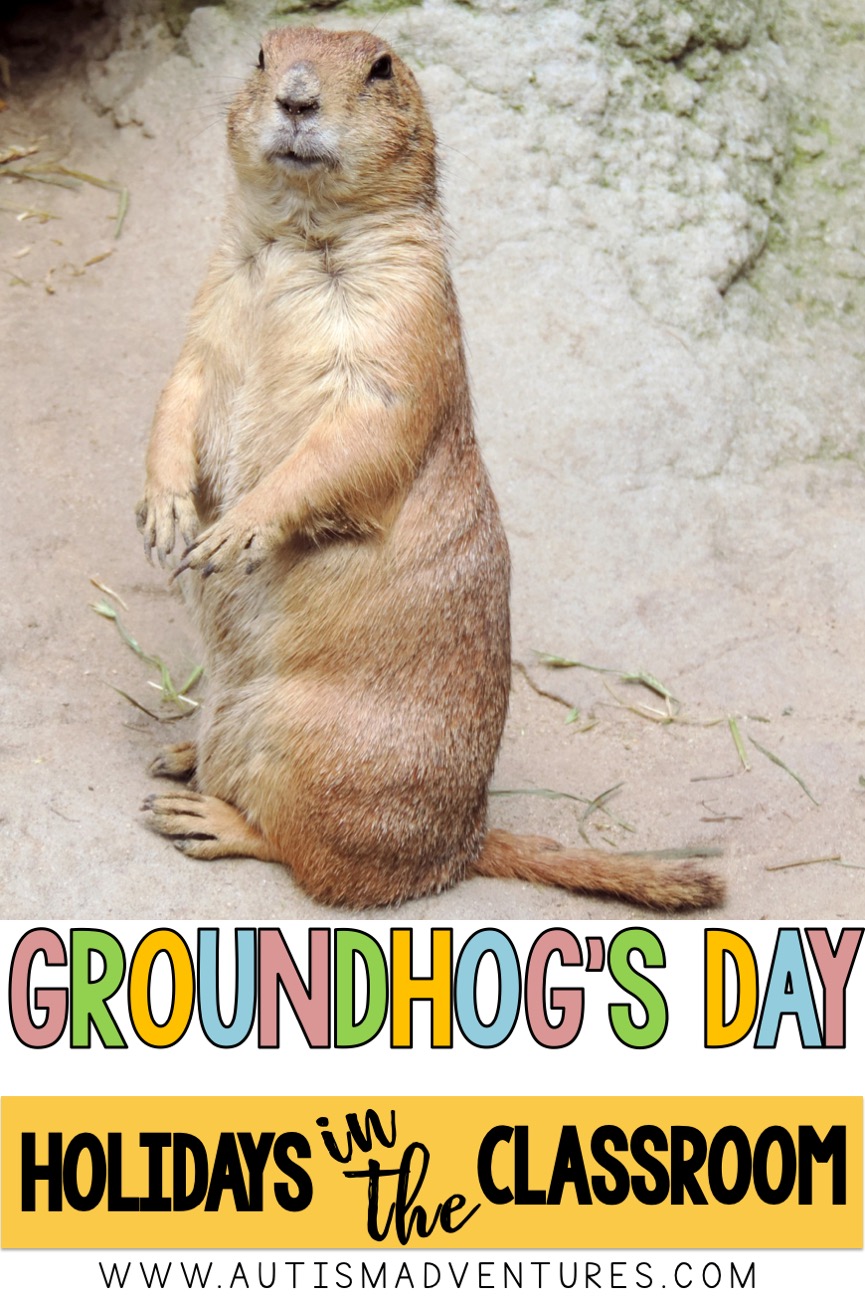 Groundhog's Day Celebrations in the Classroom » Autism Adventures
