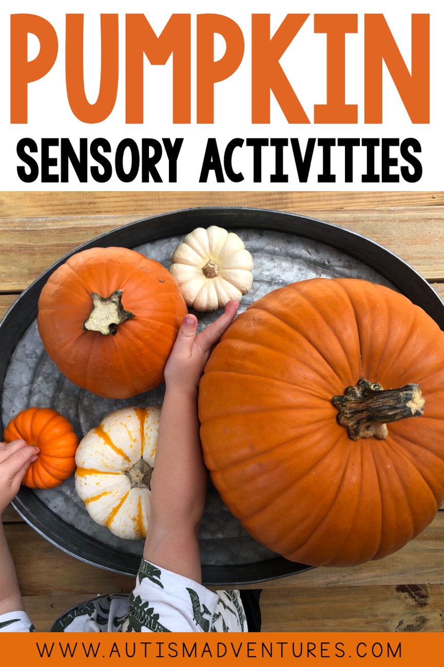 Sensory in my Classroom » Autism Adventures