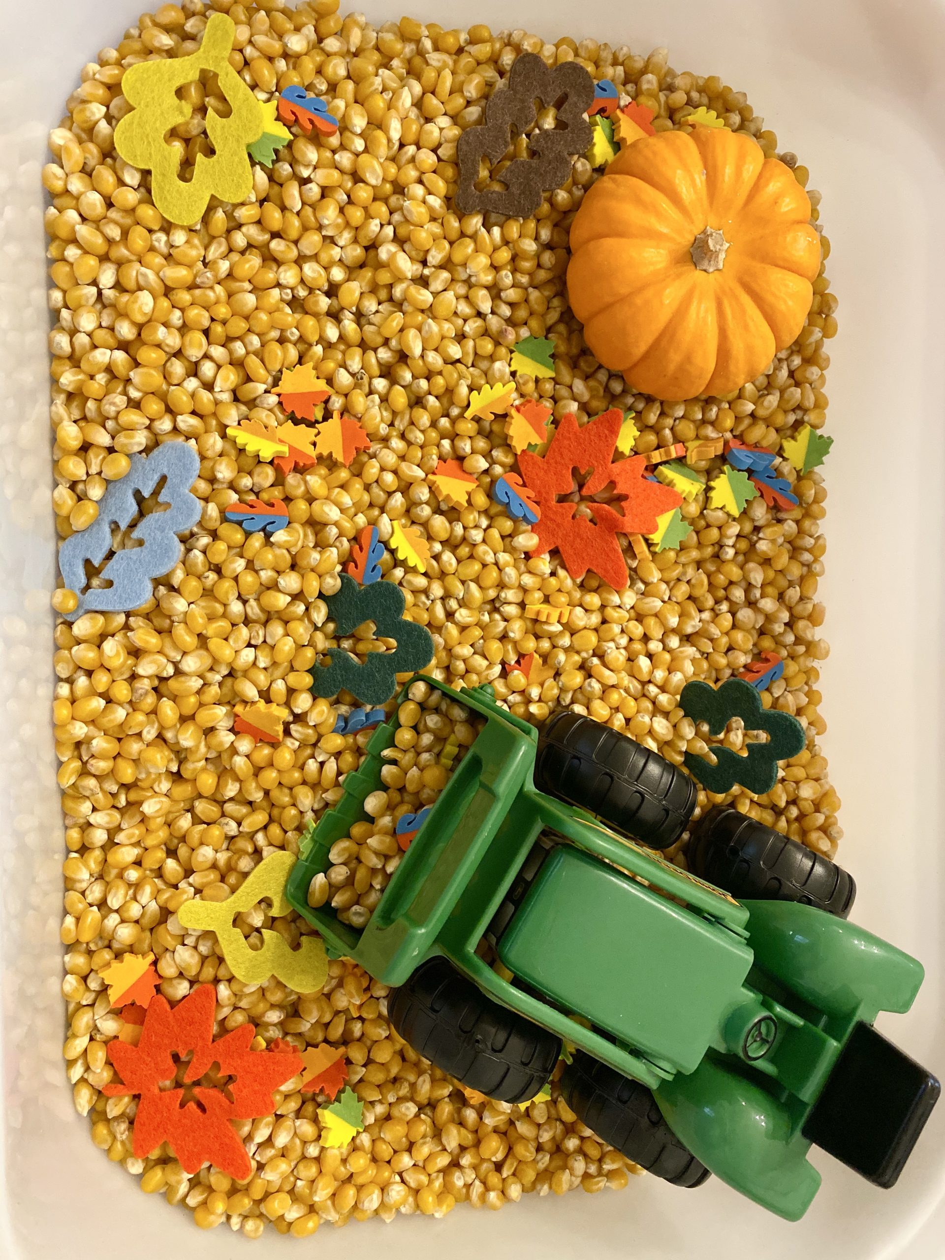 Fall Sensory Fun » Autism Adventures