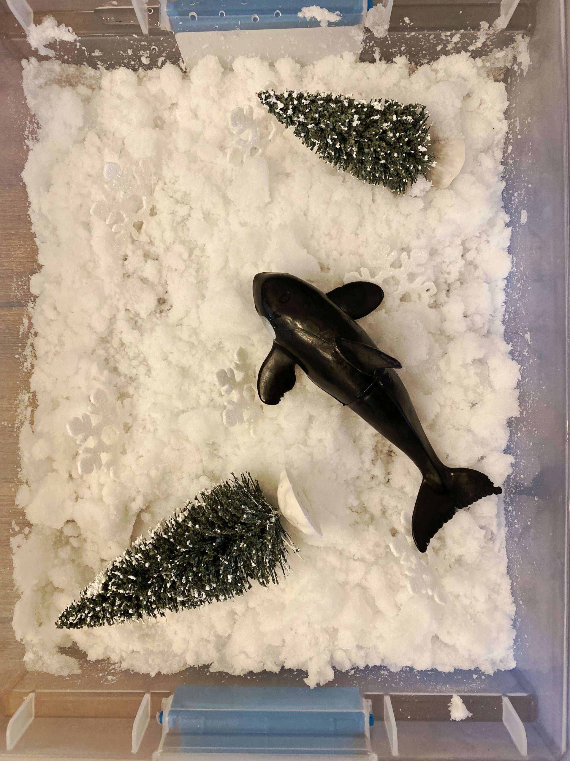 Winter Sensory Fun! » Autism Adventures