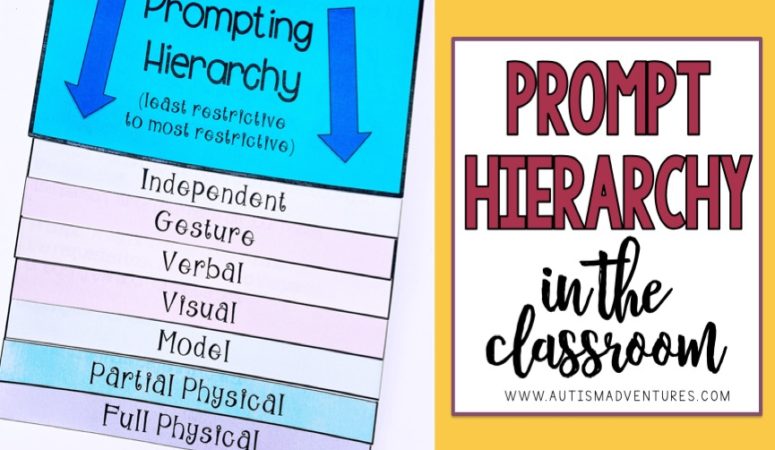 Organization Archives » Autism Adventures