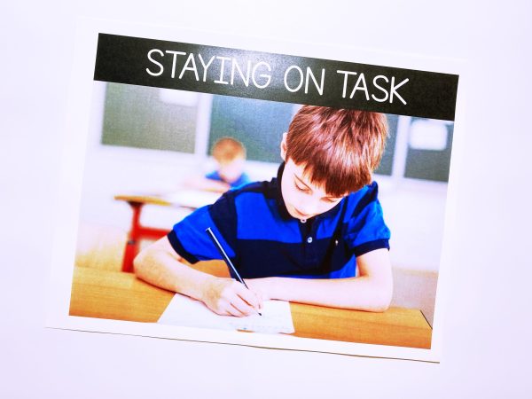 teaching kids to Stay on Task: social emotional learning curriculum ...