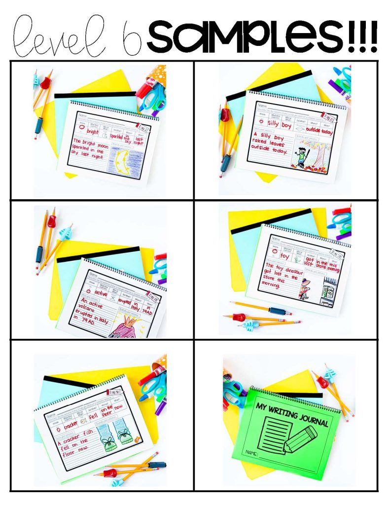 Differentiated Writing Curriculum- Level 6 (Build A Sentence) - Autism ...