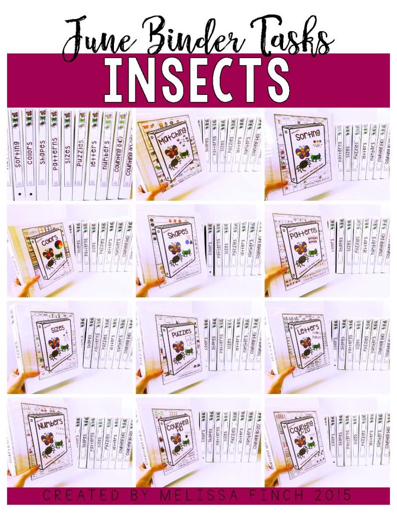 Insect Binder- Binder Basics Work System » Autism Adventures