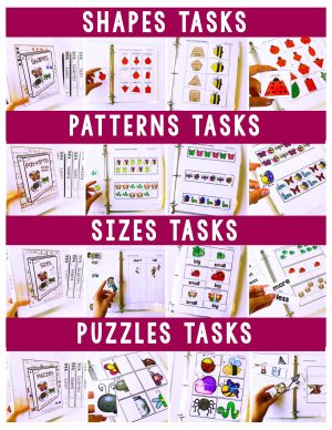 Insect Binder- Binder Basics Work System » Autism Adventures