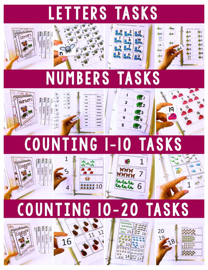 Insect Binder- Binder Basics Work System » Autism Adventures