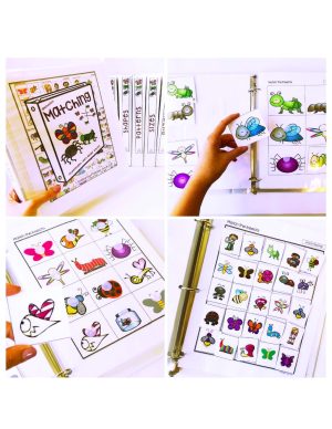 Insect Binder- Binder Basics Work System » Autism Adventures