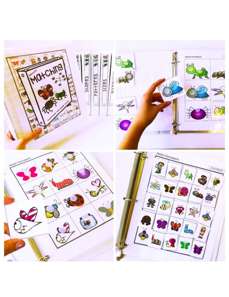 Insect Binder- Binder Basics Work System » Autism Adventures