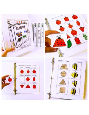 Insect Binder- Binder Basics Work System » Autism Adventures