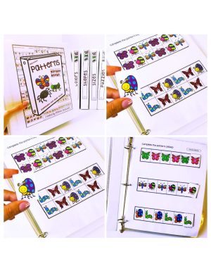 Insect Binder- Binder Basics Work System » Autism Adventures