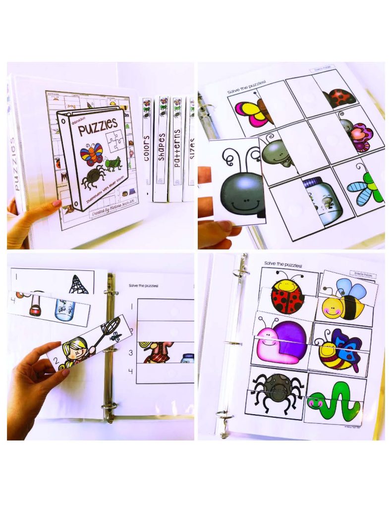 Insect Binder- Binder Basics Work System » Autism Adventures