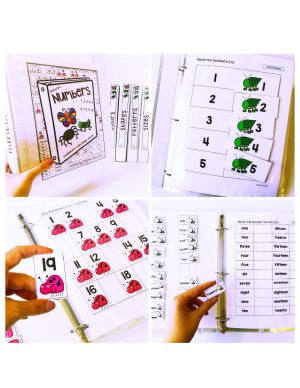Insect Binder- Binder Basics Work System » Autism Adventures