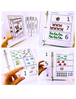 Insect Binder- Binder Basics Work System » Autism Adventures