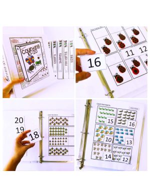 Insect Binder- Binder Basics Work System » Autism Adventures