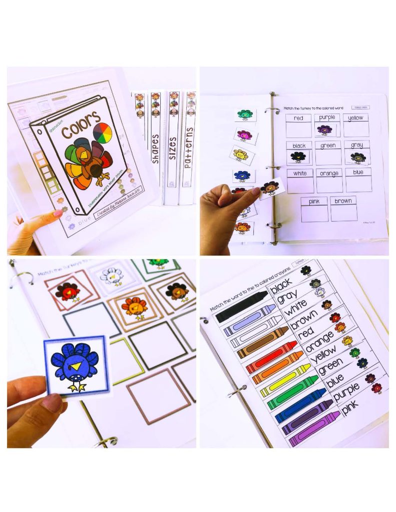 Turkeys Binder- Binder Basics Work System » Autism Adventures
