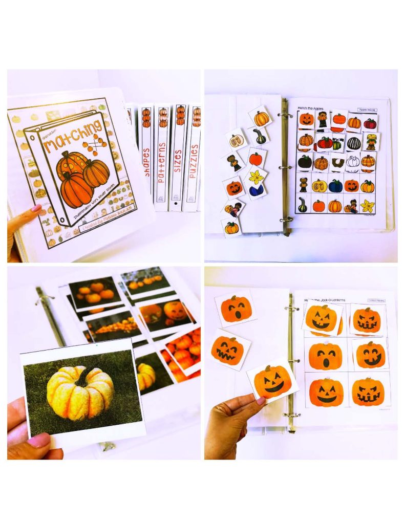 Pumpkins Binder- Binder Basics Work System » Autism Adventures