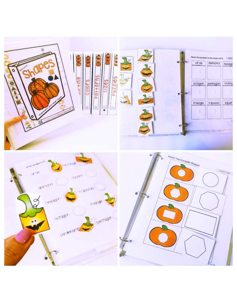 Pumpkins Binder- Binder Basics Work System » Autism Adventures