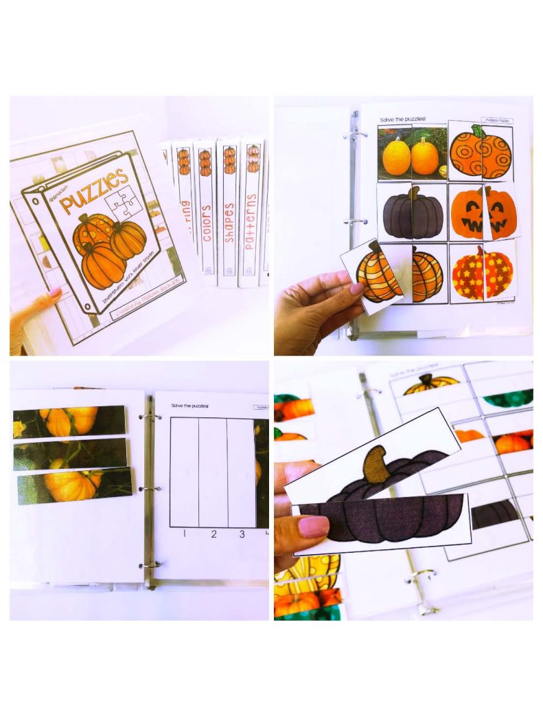 Pumpkins Binder- Binder Basics Work System » Autism Adventures