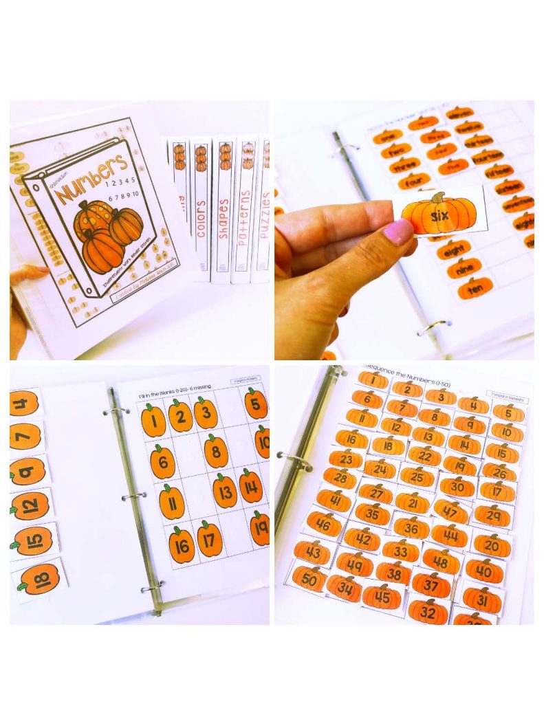 Pumpkins Binder- Binder Basics Work System » Autism Adventures
