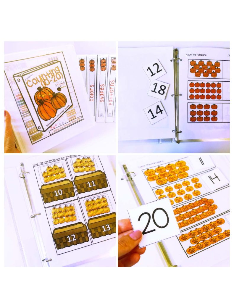 Pumpkins Binder- Binder Basics Work System » Autism Adventures